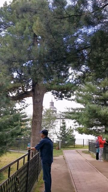 Толга в августе