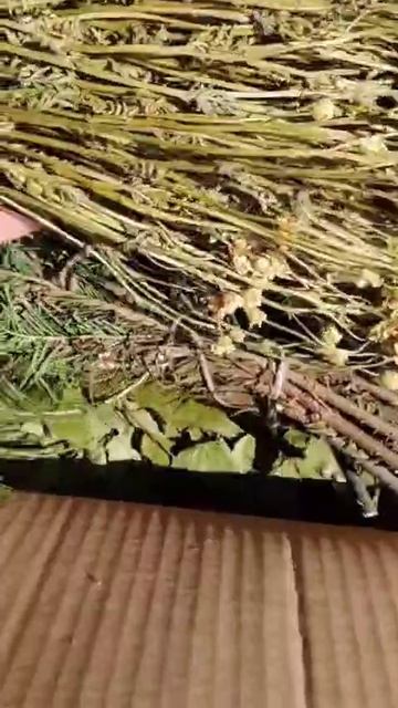 Как выглядят стимуляторы Счастья?