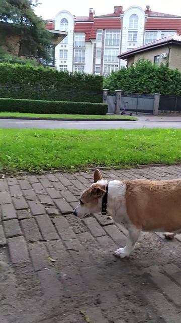 Самая важная наука в жизни — уметь радоваться тому, что имеешь. Особенно если это вкусный кусочек!