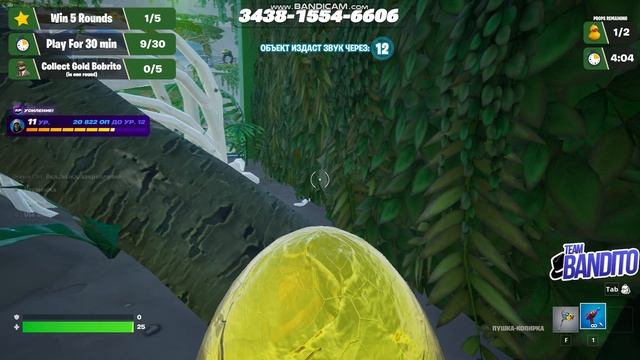 играем в брэинрот прятки