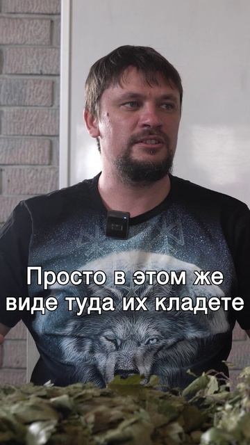 Уникальный вариант заготовки и хранения веников для бани. Нарезка из видео курса по парению