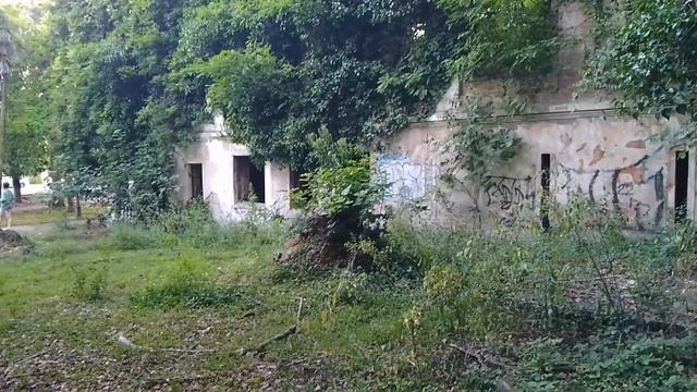 Красиво заросшая заброшка. Новый Афон. Абхазия