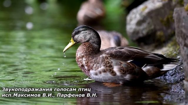 ЗагадКИЖИзни. Часть 10