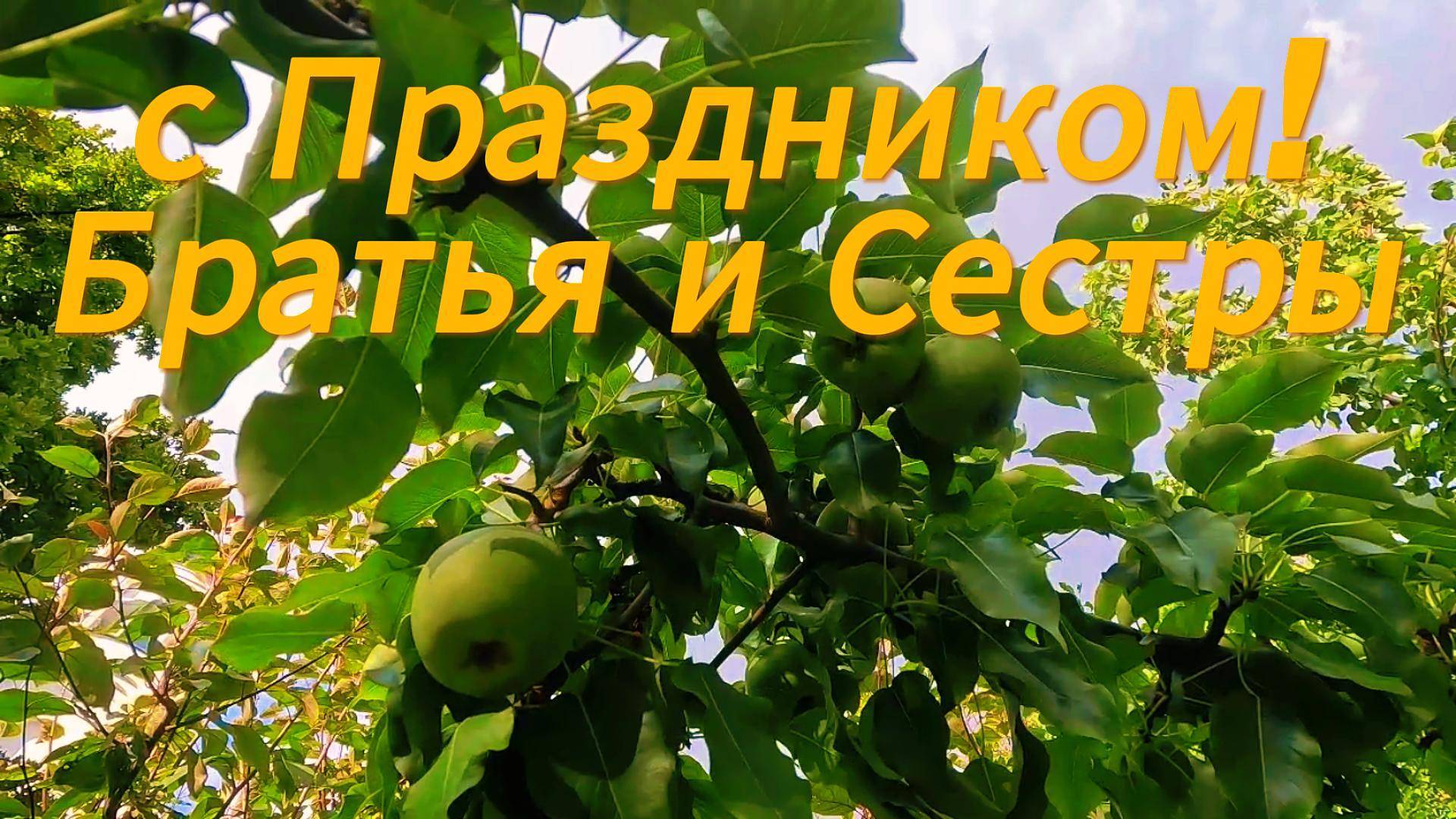 Православные 19 августа отмечают Преображение Господне, или, как его еще называют, Яблочный Спас.