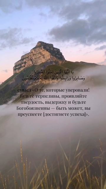 Будьте терпеливы! Шейх Шамиль аш-Шафи'ий.