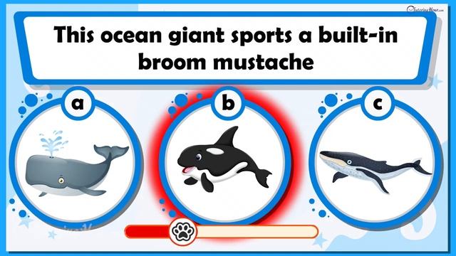 Animal Facts Quiz for Kids