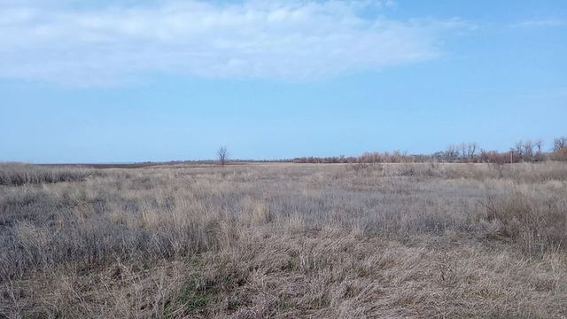 Исчезнувший поселок Непейцовский, Пугачёвский район.