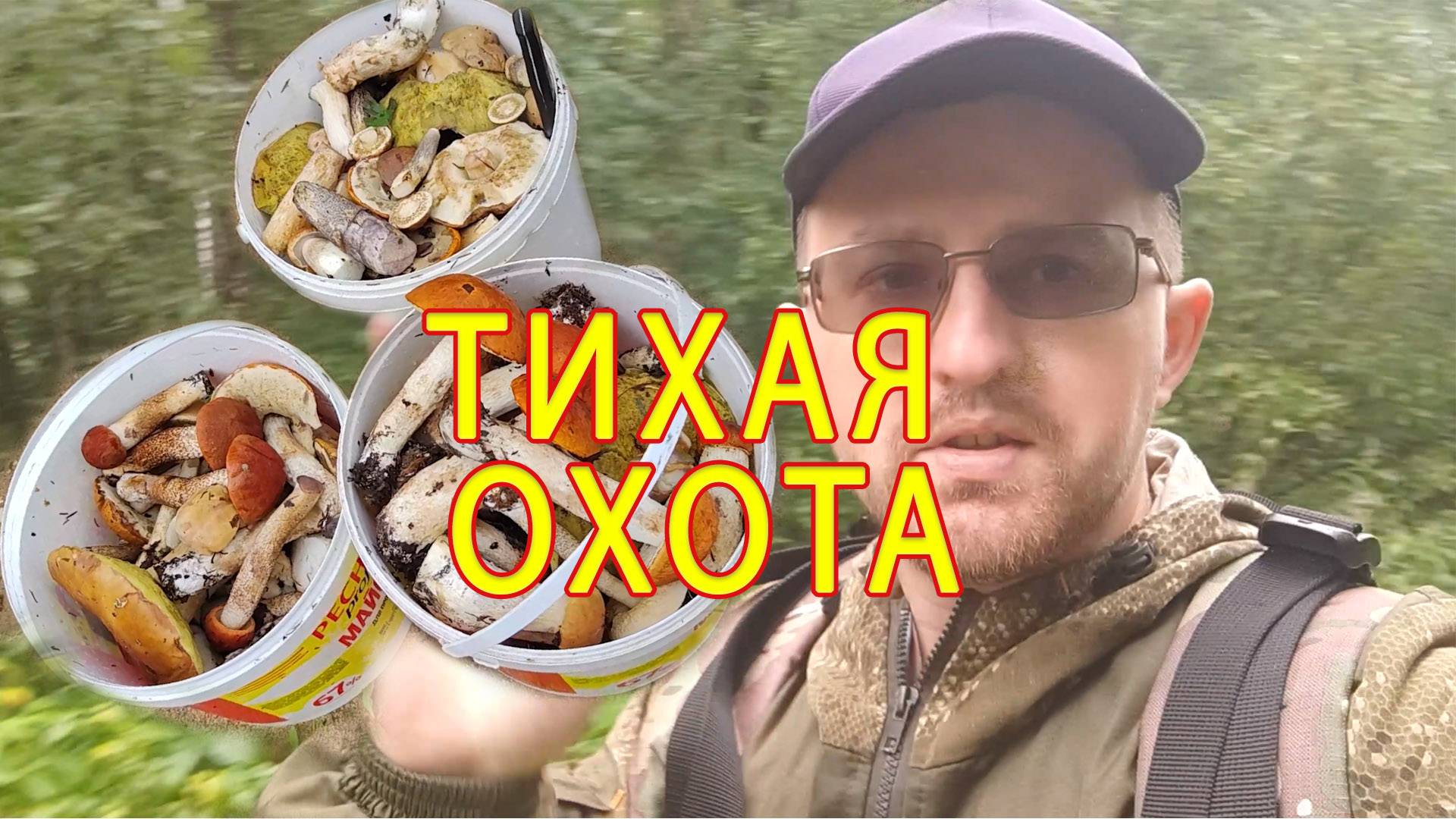 Прогулка за грибами в лесу — видео отчет с богатым урожаем грибов после дождя 19 августа 2025