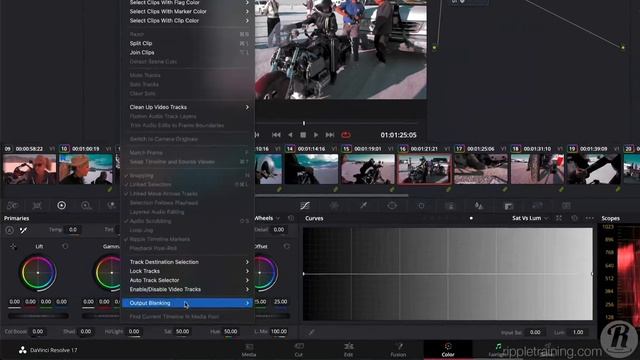 L54_Applying_Timeline_Level_Grades