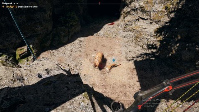 Тайник Незваный гость