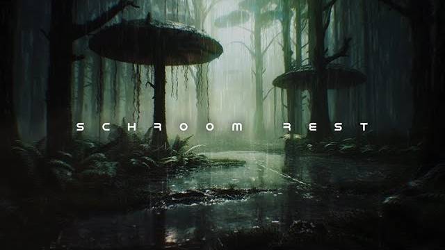 Mushroom Forest - Calm Sci Fi Ambient Music - Cyberpunk Chill Music