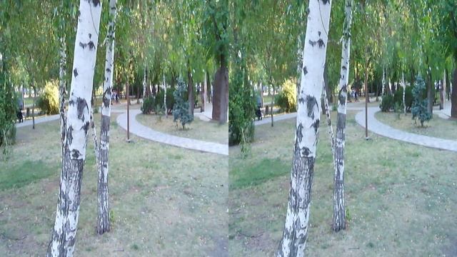 SBS stereo Прогулка с Fliker