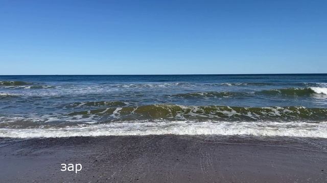 Ягодный распадок. Савченко Николай