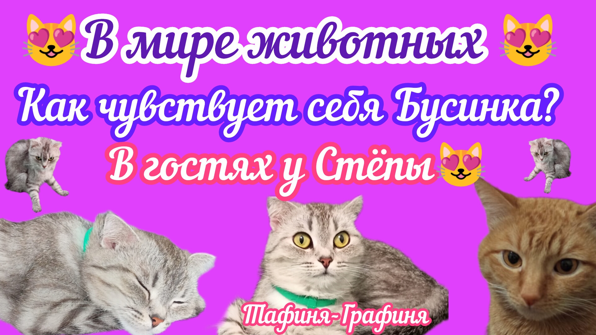 😻Как дела у Бусинки?/В гостях у Стёпы😻/В госпитале у животных и птиц💉