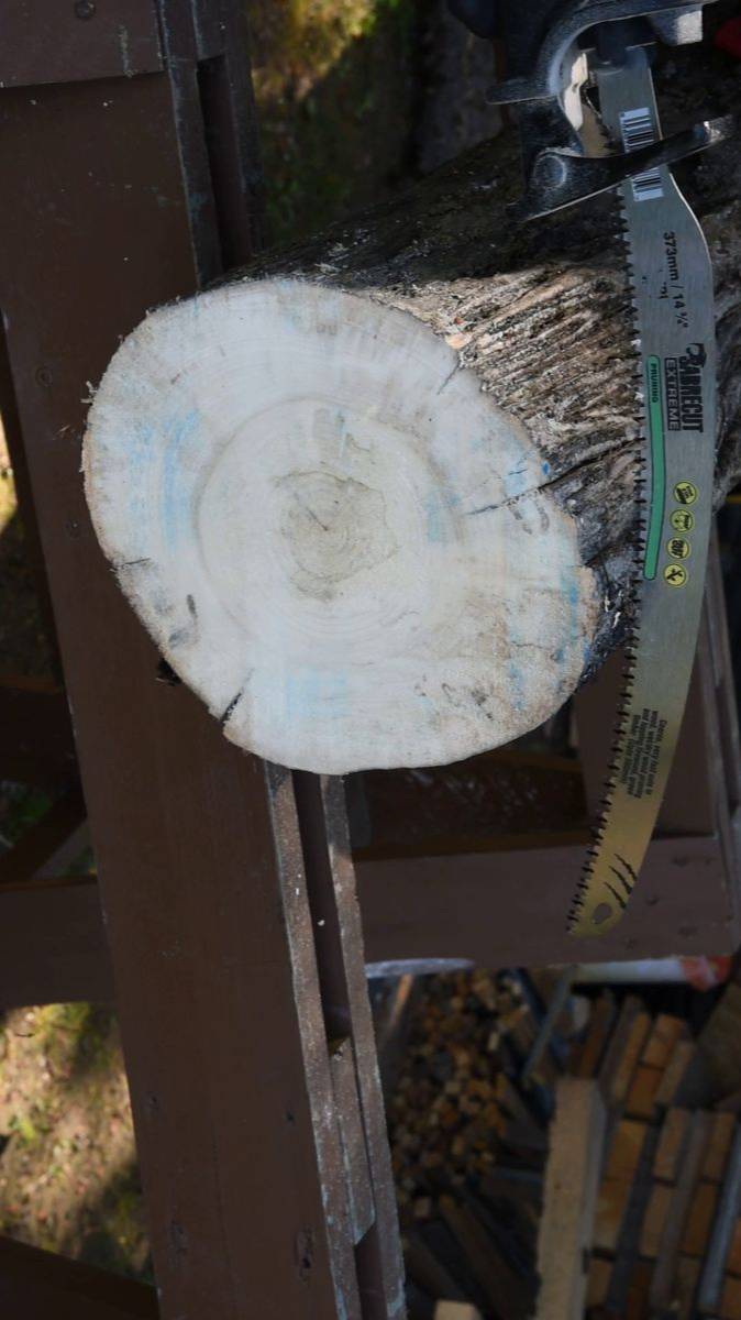 Пилим 22 сантиметра. SabreCut extreme.