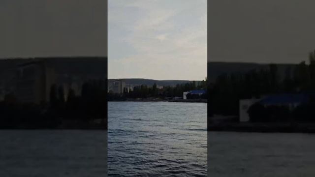 Чайки, море,лето, август, Феодосия, Крым