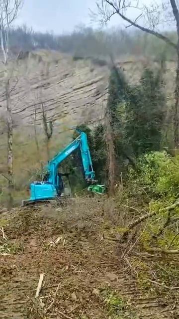 🟢 BI400 Лесные валочные ножницы @omefgroup на экскаваторы 14-24тн