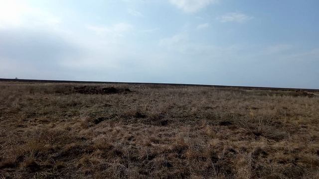 Исчезнувший поселок Непейцовский, Пугачёвский район (2).