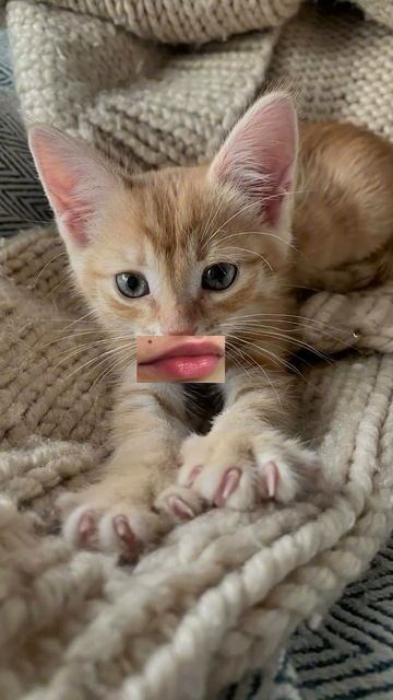 Что делать, если пациент не хочет фотографировать ДО/ПОСЛЕ