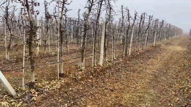 Работа косилки-измельчителя. Январь 2021г.