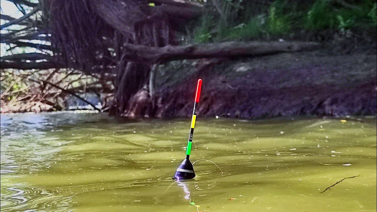 СЕКРЕТНЫЙ АРОМАТ РАБОТАЕТ? Закормил рыбу ВИСКИ и Вот Кто КЛЮЁТ! Рыбалка 2025