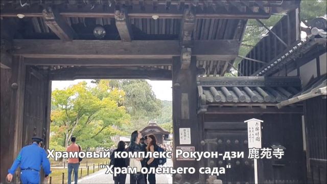 2024-10-24 ЯПОНИЯ: ДРЕВНИЙ КИОТО