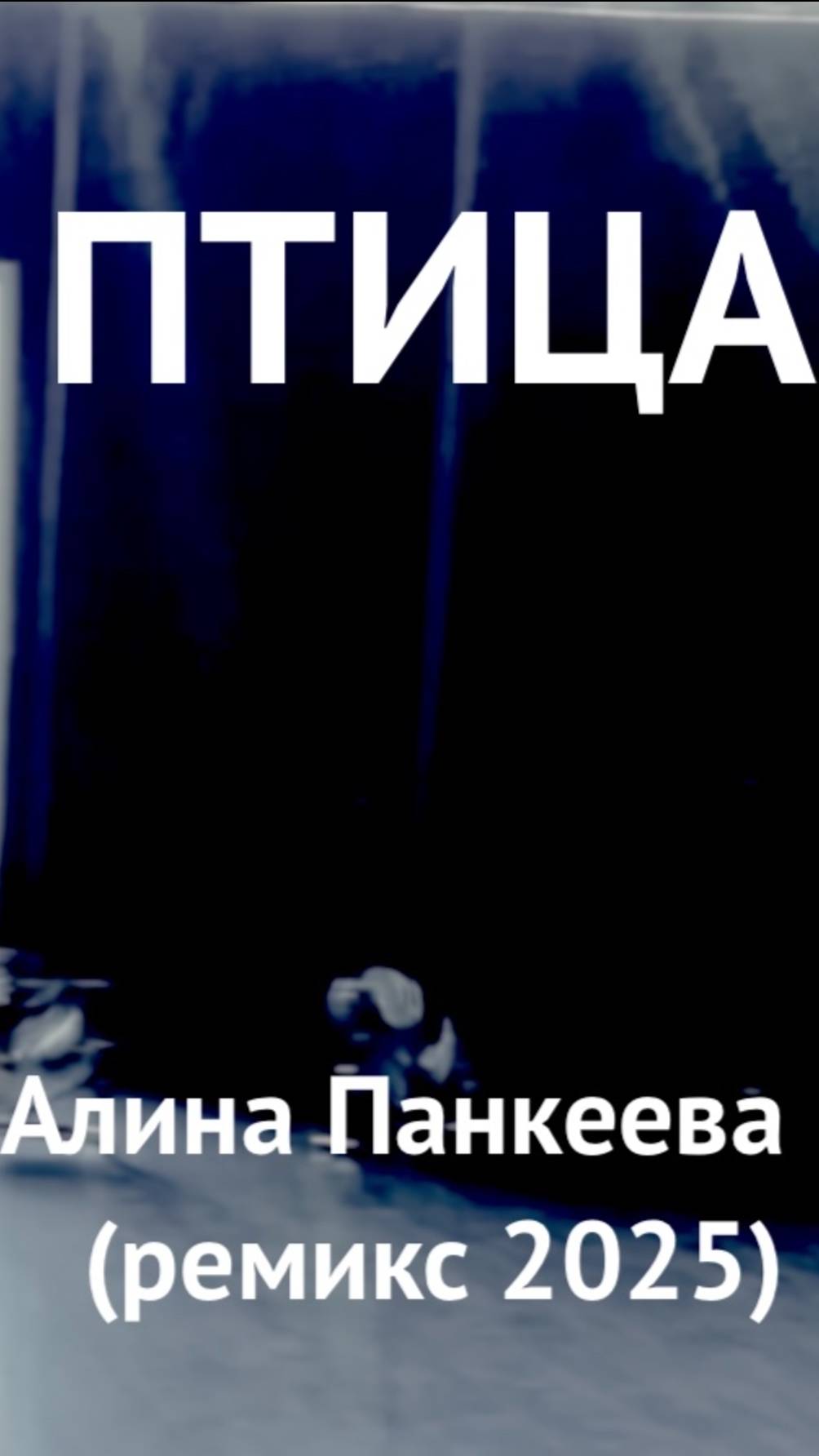 Птица (ремикс 2025) Алина Панкеева