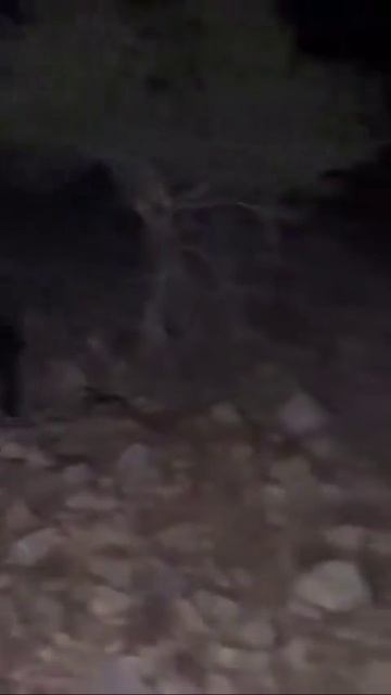 ¡𝗡𝗢 𝗠Á𝗦 𝗠𝗔𝗟𝗗𝗔𝗗 𝗦𝗜𝗢𝗡𝗜𝗦𝗧𝗔! ✊🔥 ¿𝗘𝗦𝗧𝗢 𝗖𝗨Á𝗡𝗗𝗢 𝗩𝗔 𝗔 𝗣𝗔𝗥𝗔𝗥? ❓