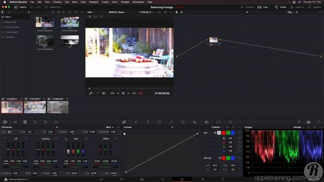 L55_Adjusting_RAW_Settings_at_the_Project_Level