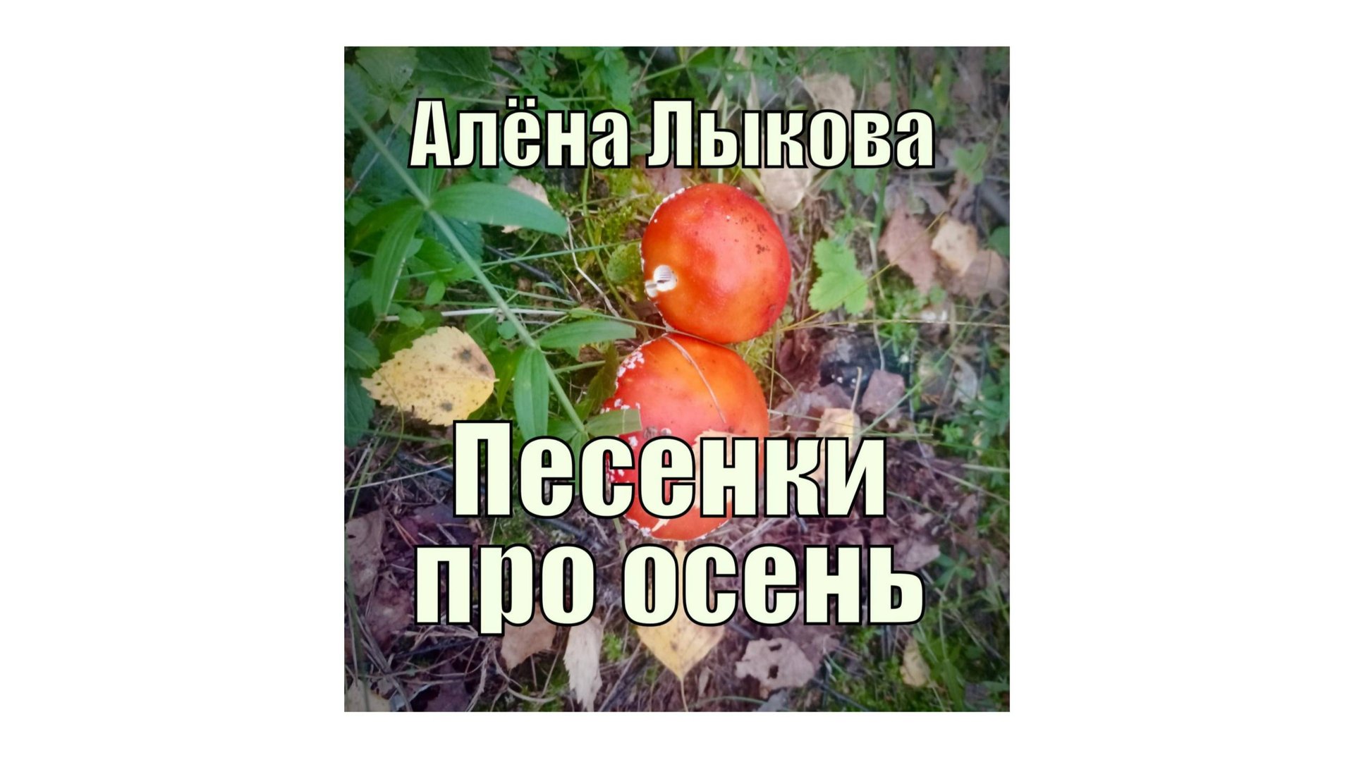 «Дождик льет с утра опять» Алёна Лыкова