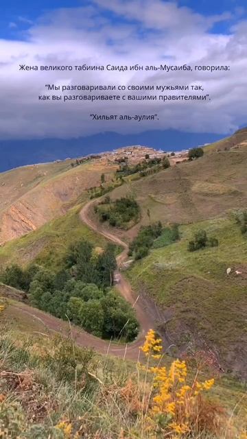 Относитесь к мужьям с почтением. Шейх Шамиль аш-Шафи'ий.