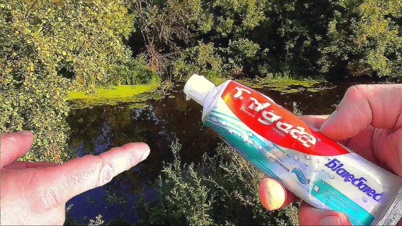 Как рыба реагирует на Зубную пасту? Подводная съемка