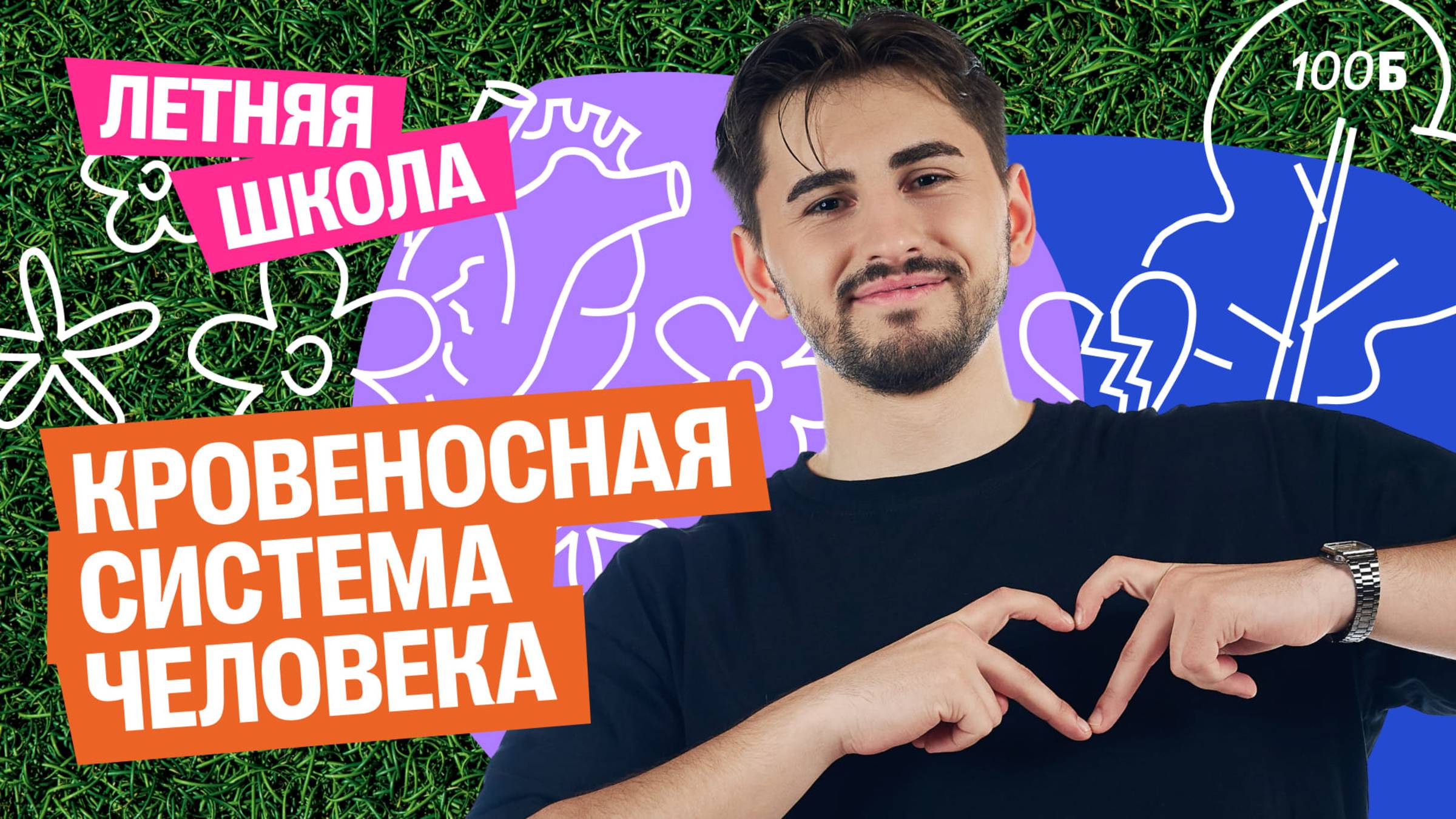 Кровеносная система человека. Теория + задания ОГЭ | Летняя школа для 9 класса | Федос Кокос | 100Б