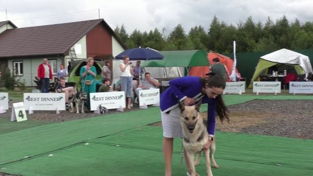 МВ Скандинавия