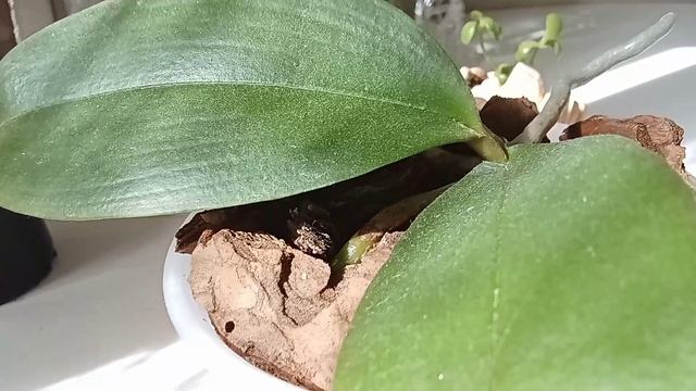 Новости моего окна