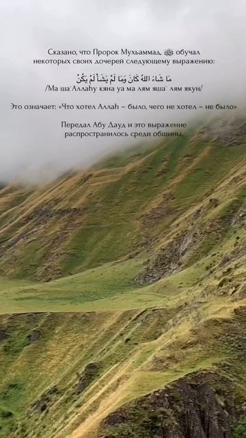 Что хотел Аллагь – было, чего не хотел – не было. Шейх Шамиль аш-Шафи'ий.