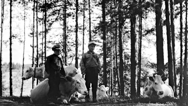 ЗагадКИЖИзни. Часть 13