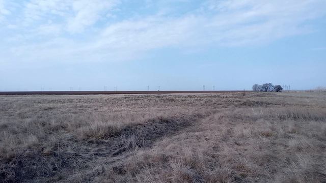 Исчезнувший посёлок Баудеровский, Пугачёвский район (2).