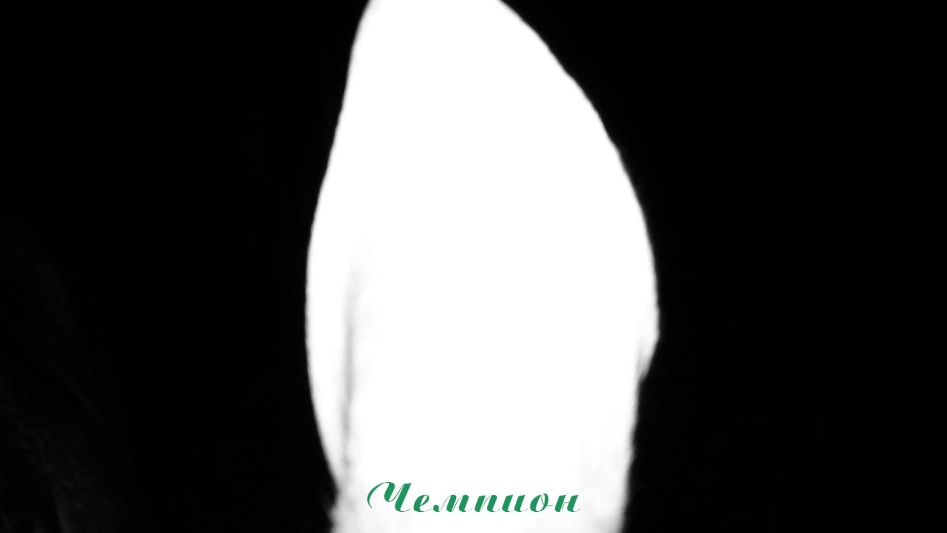 Солонец №7 / Лось ест крапиву \ Bolyguard SG2060-K #37