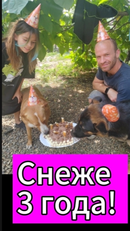 У Снежи День рождения! 3 года! Торт, подарки и друг Патрон 🐕🦺🐕🐶🎉✨