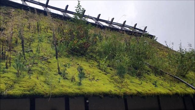 2024-10-23 ЯПОНИЯ: КАВАГУЧИКО (ГОРА ФУДЗИЯМА)