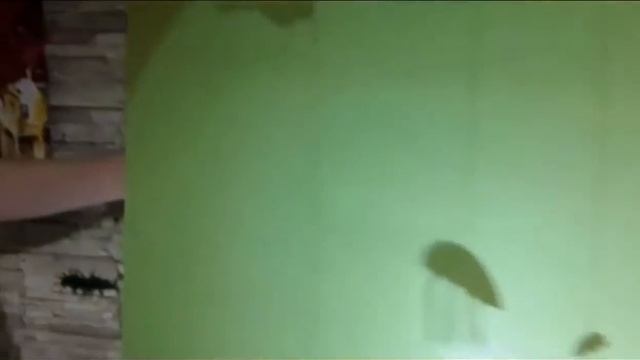 Домоседы. Выпуск 3