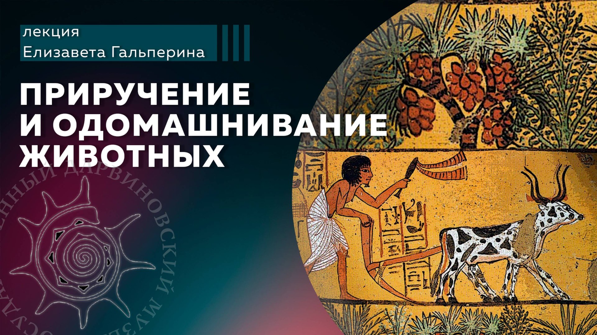 Приручение и одомашнивание животных