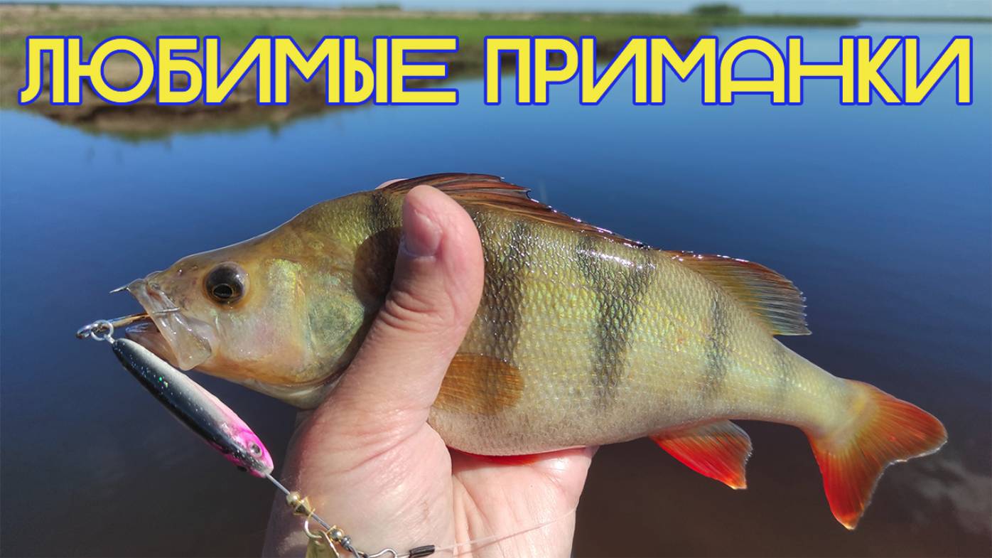ЛЮБИМЫЕ ПРИМАНКИ окуня и щуки.