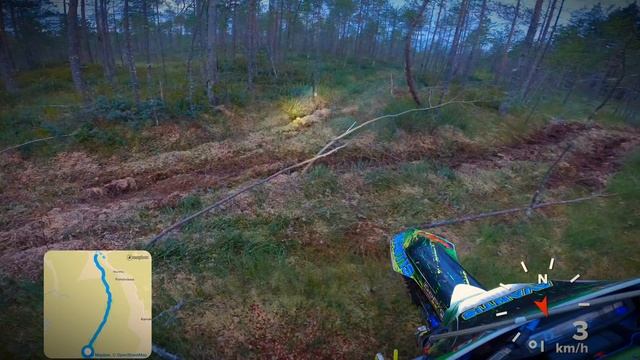 Одиночный лесной прохват