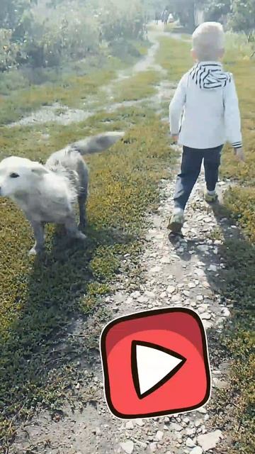 ходячий мем про грязную собаку мяу белку.mp4