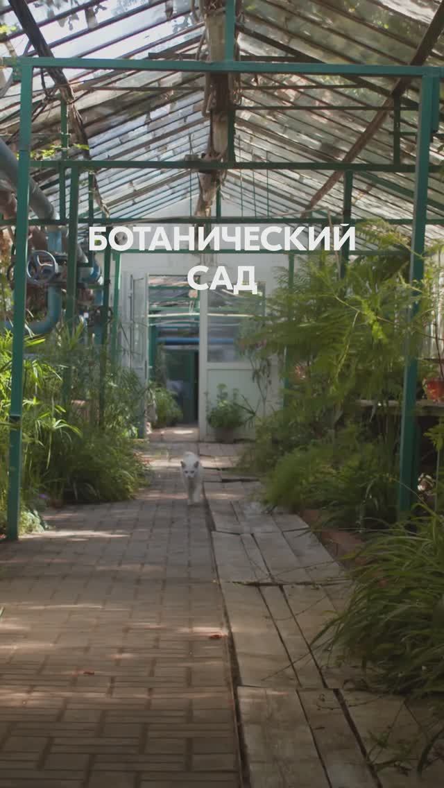 #ЗвукиНауки: Ботанический сад ЮФУ 🌺