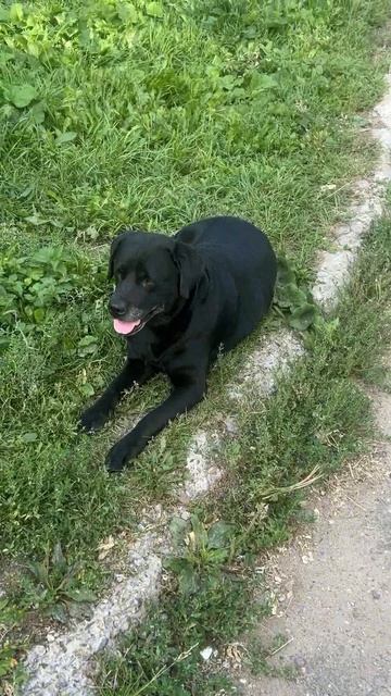 Уля и Лана anzl.ru на прогулке