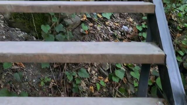 Мы не ищем легких путей)