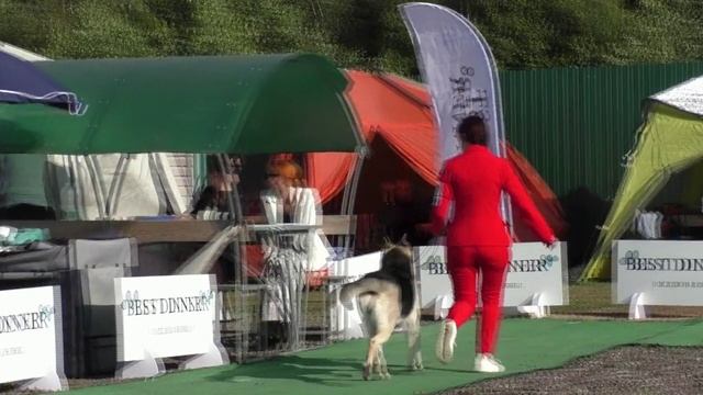 Ольвал Дэнис Ханта Эля